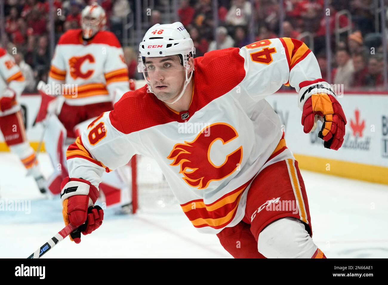 Calgary Flames defenseman Dennis Gilbert (48) plays against the Detroit ...
