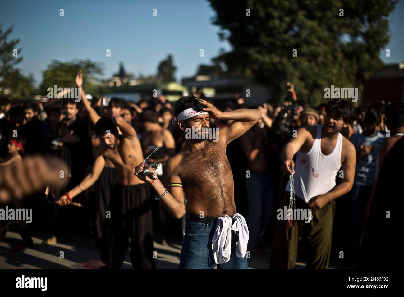 Pakistani Shiite Muslims beat themselves with knives attached to a ...