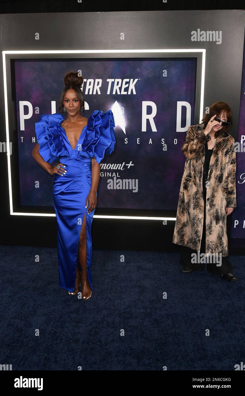 Ashlei Sharpe Chestnut, Amanda Plummer arrives at the premiere of the ...