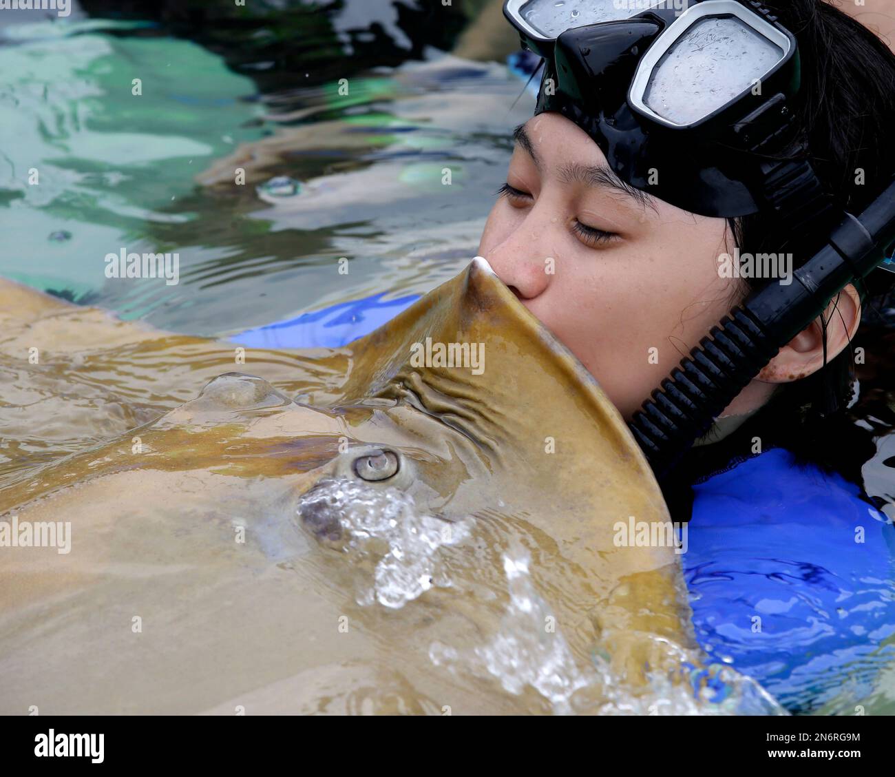 Ants San Pedro, a ray and shark trainer, kisses to interact with a ray ...
