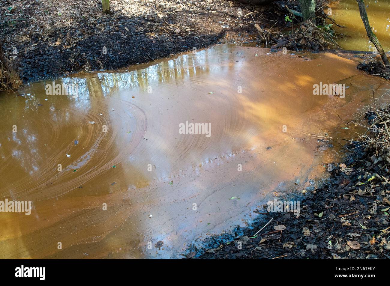 Sphaerotilus leptothrix -Fotos und -Bildmaterial in hoher Auflösung – Alamy