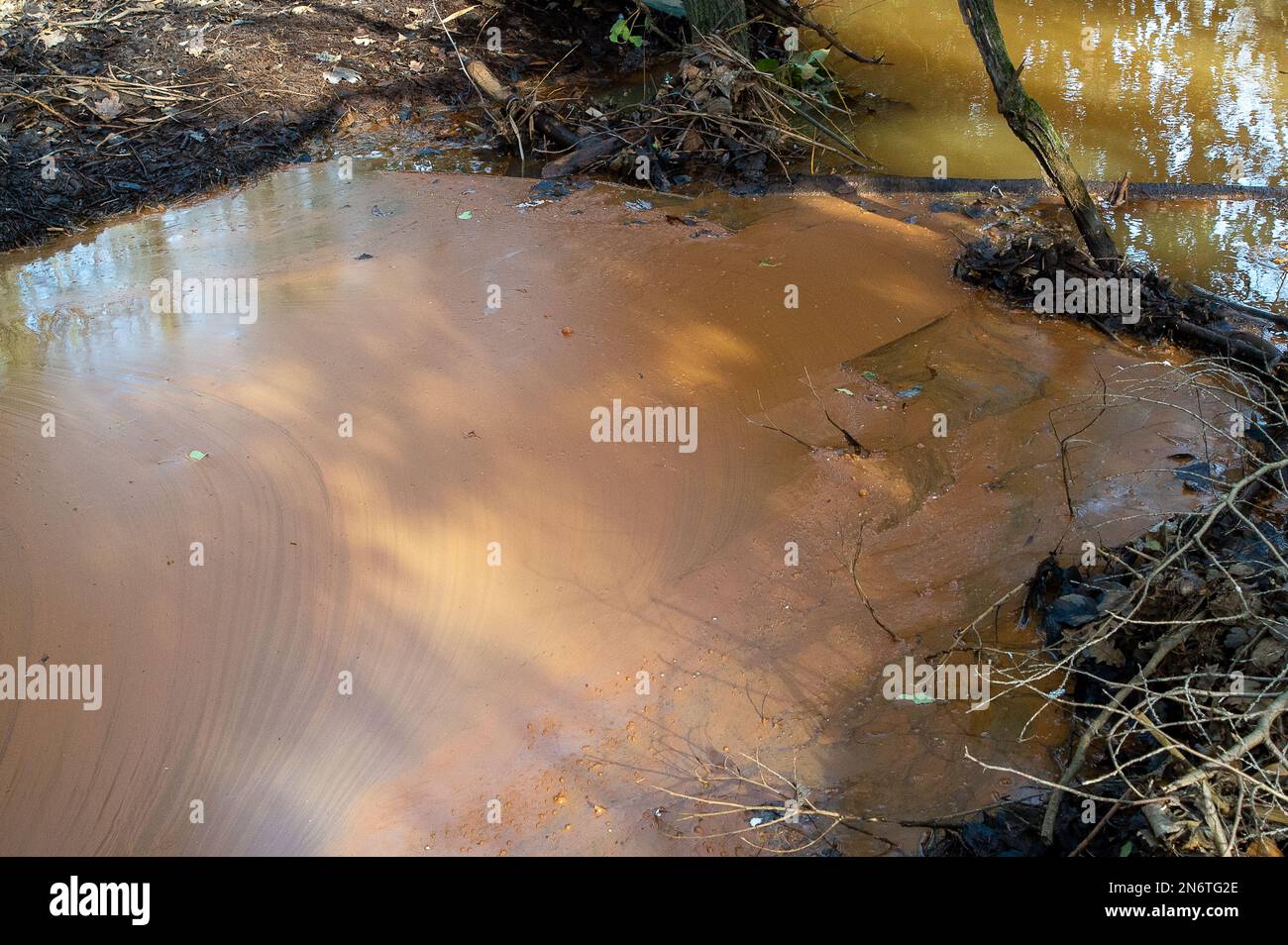 Sphaerotilus leptothrix -Fotos und -Bildmaterial in hoher Auflösung – Alamy