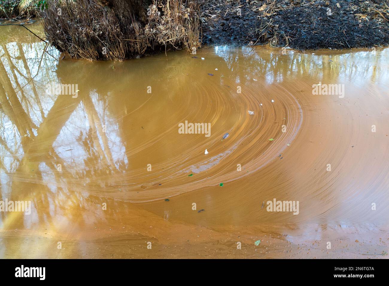 Sphaerotilus leptothrix -Fotos und -Bildmaterial in hoher Auflösung – Alamy