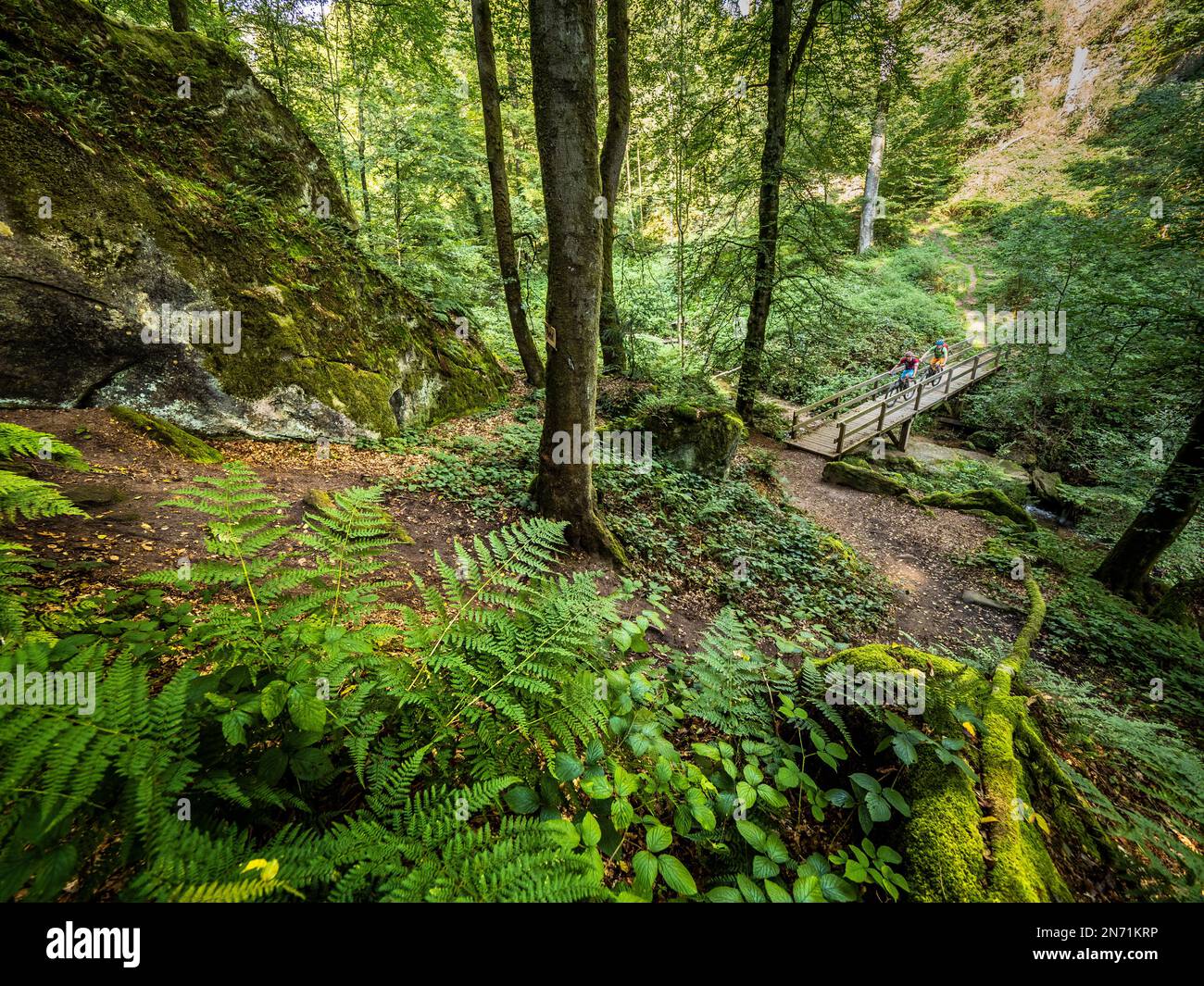 E-Mountainbiker auf einer Strecke im Müllerthal bei Berdorf. Typisch ...