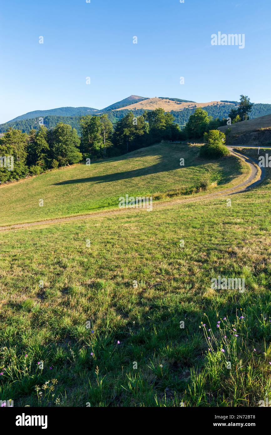 Blick zum berg grand ballon grosser belchen -Fotos und -Bildmaterial in ...