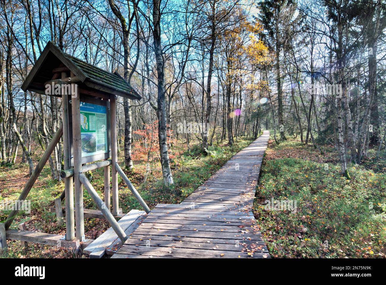 Rotes Moor, Holzplankenweg, Birkenwald, UNESCO-Biosphärenreservat Rhön ...
