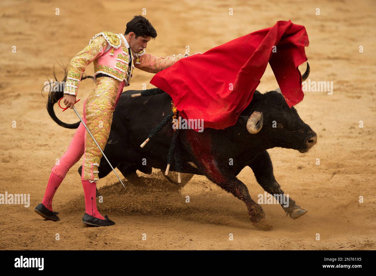 Spanish bullfighter Alejandro Talavante performs with a Victoriano del ...
