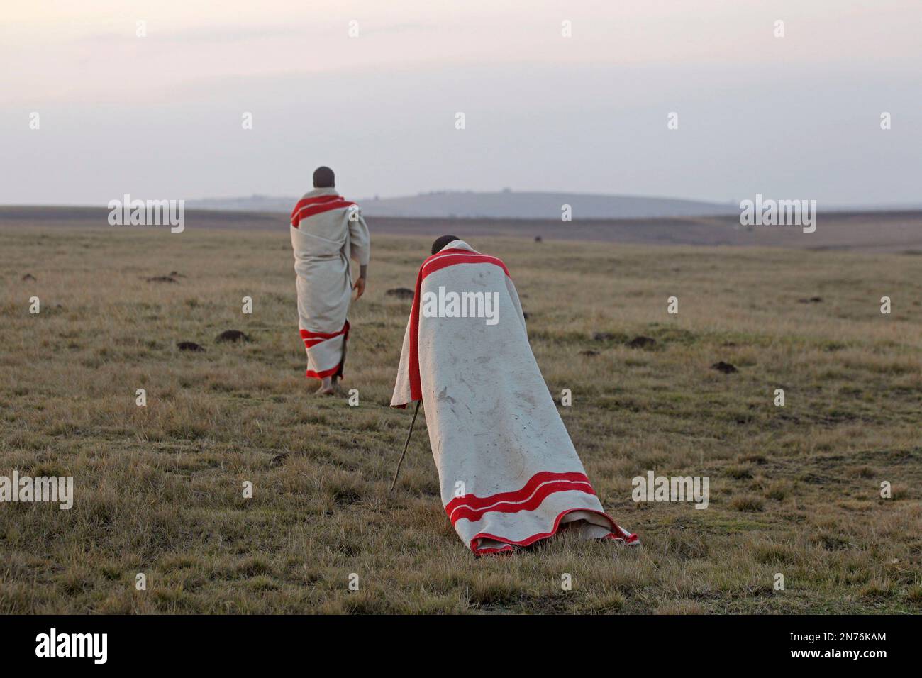 Xhosa boys covered with blankets walk through a field as they take part ...