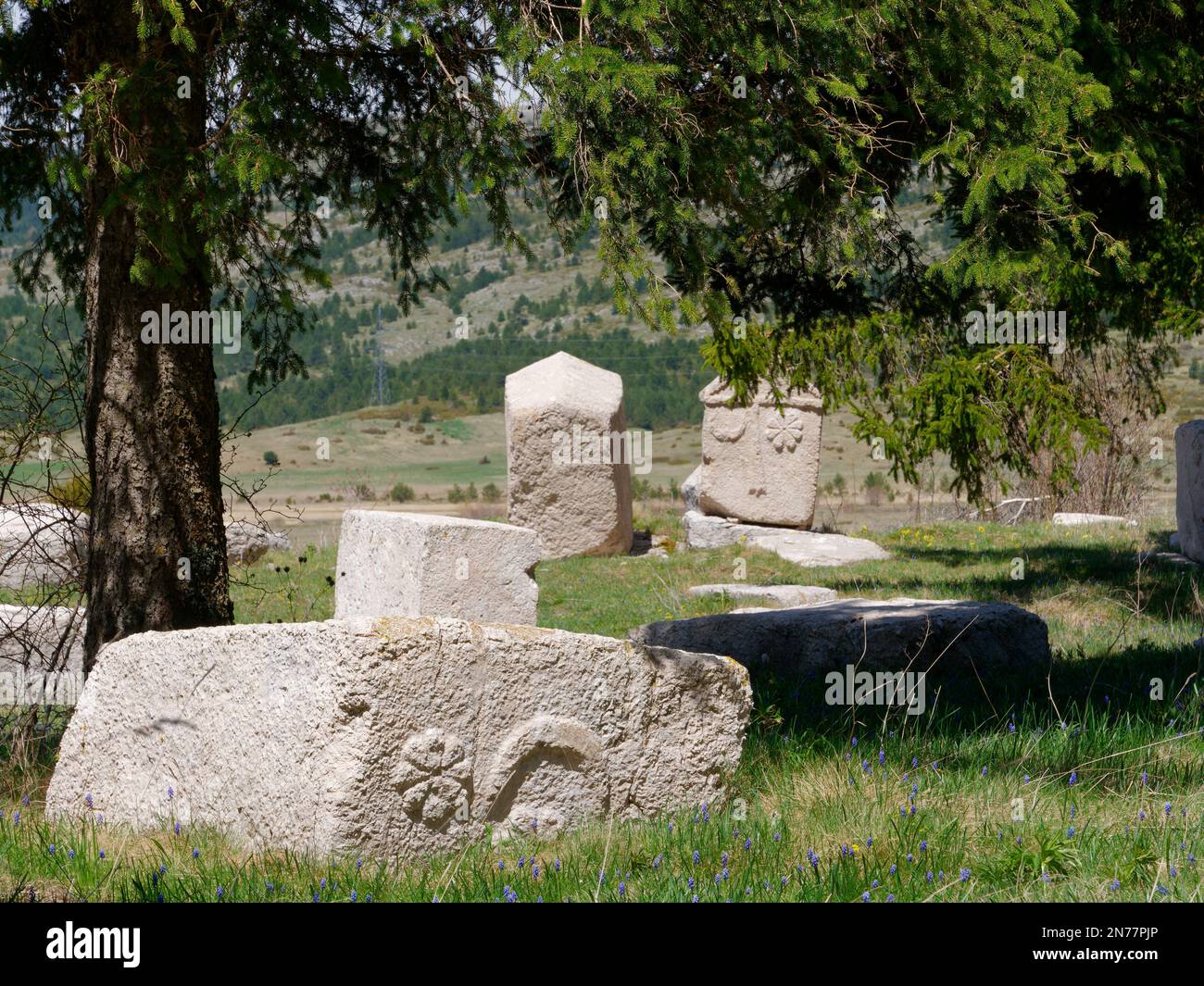 Stecci mittelalterliche Grabsteine Friedhöfe Risovac in Blidinje, BiH ...