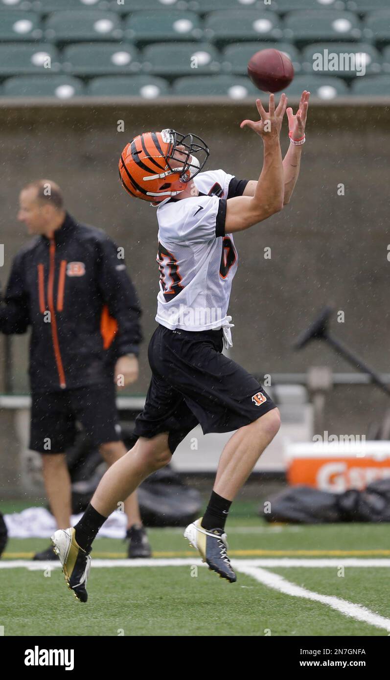 Cincinnati Bengals rookie wide receiver John Goodman catches a pass ...