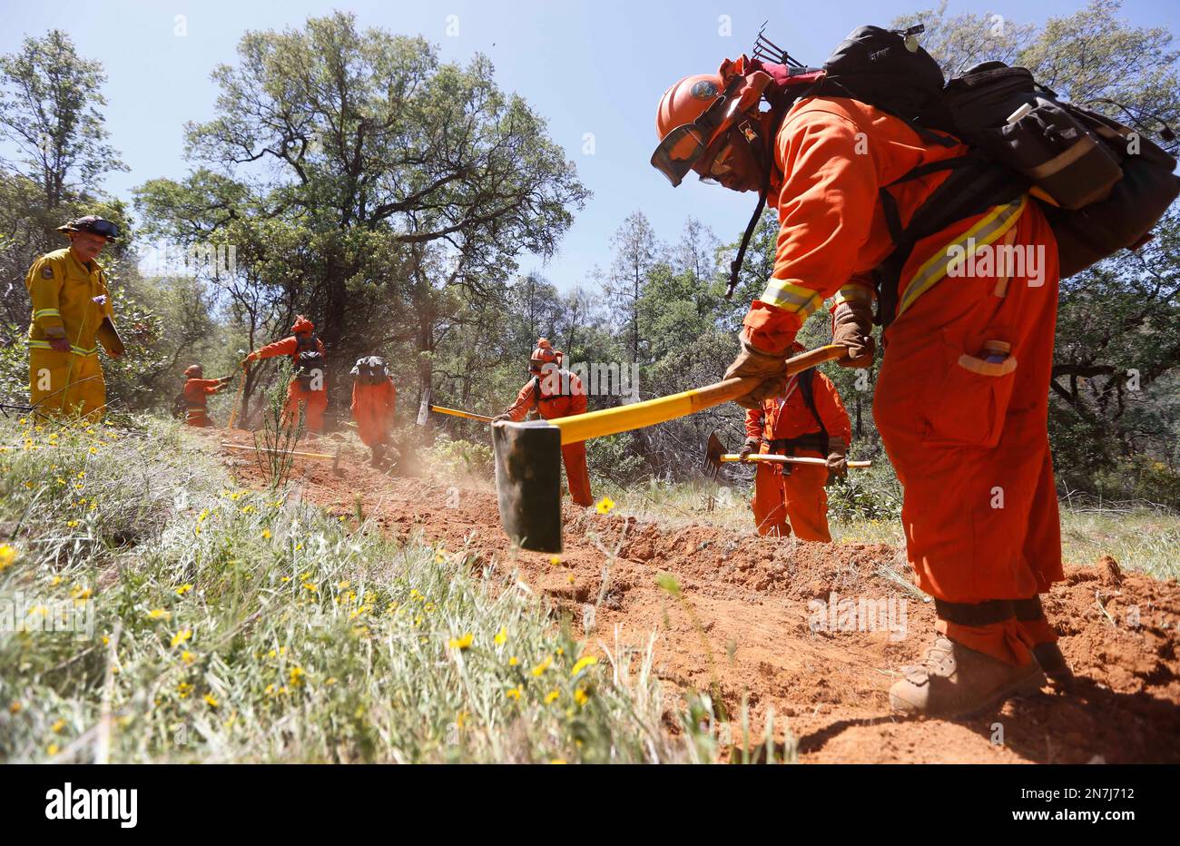 Inmates from the Washington Ridge Conservation Camp practice creating a ...