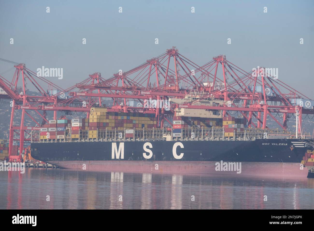 Msc valeria -Fotos und -Bildmaterial in hoher Auflösung – Alamy