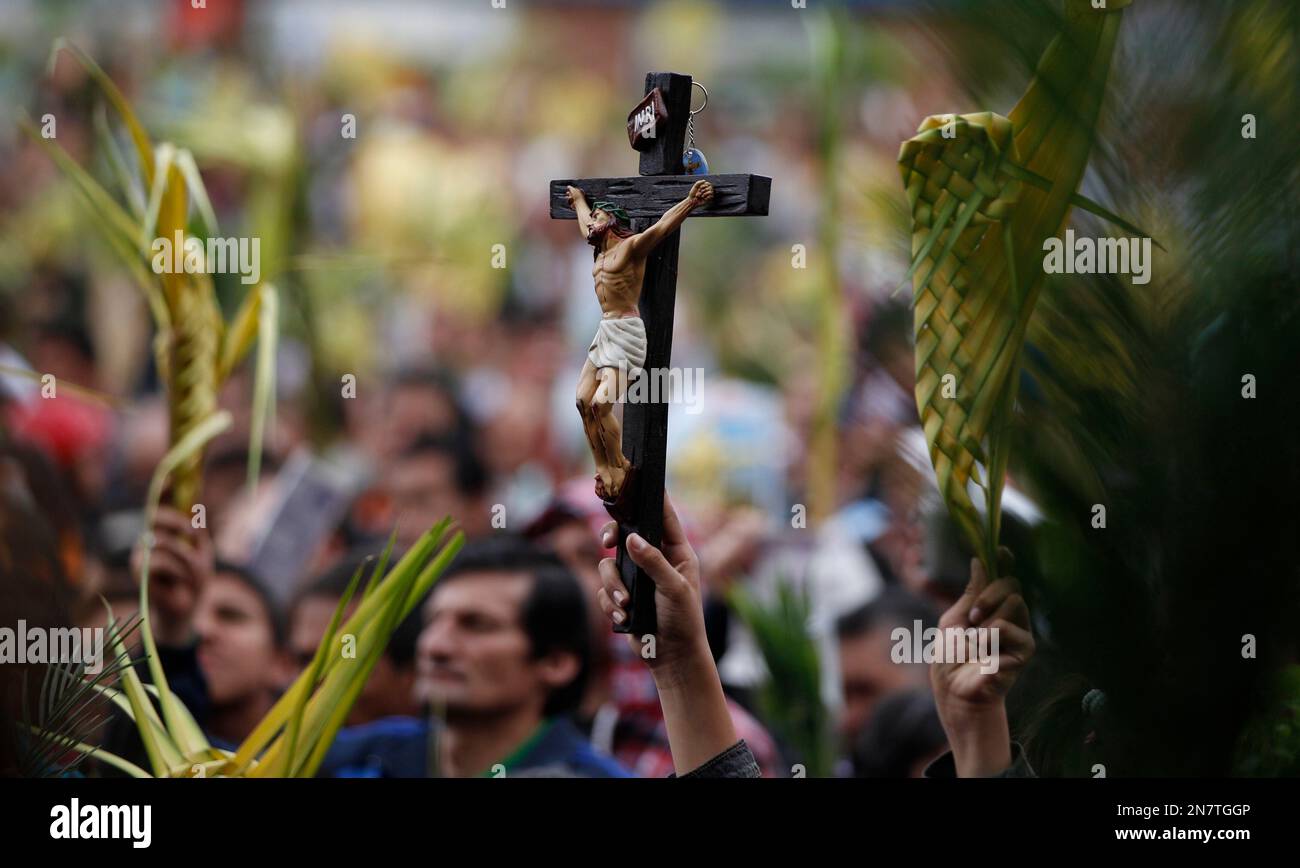 Faithful hold palm fronds and a crucifix during a Palm Sunday Mass at ...