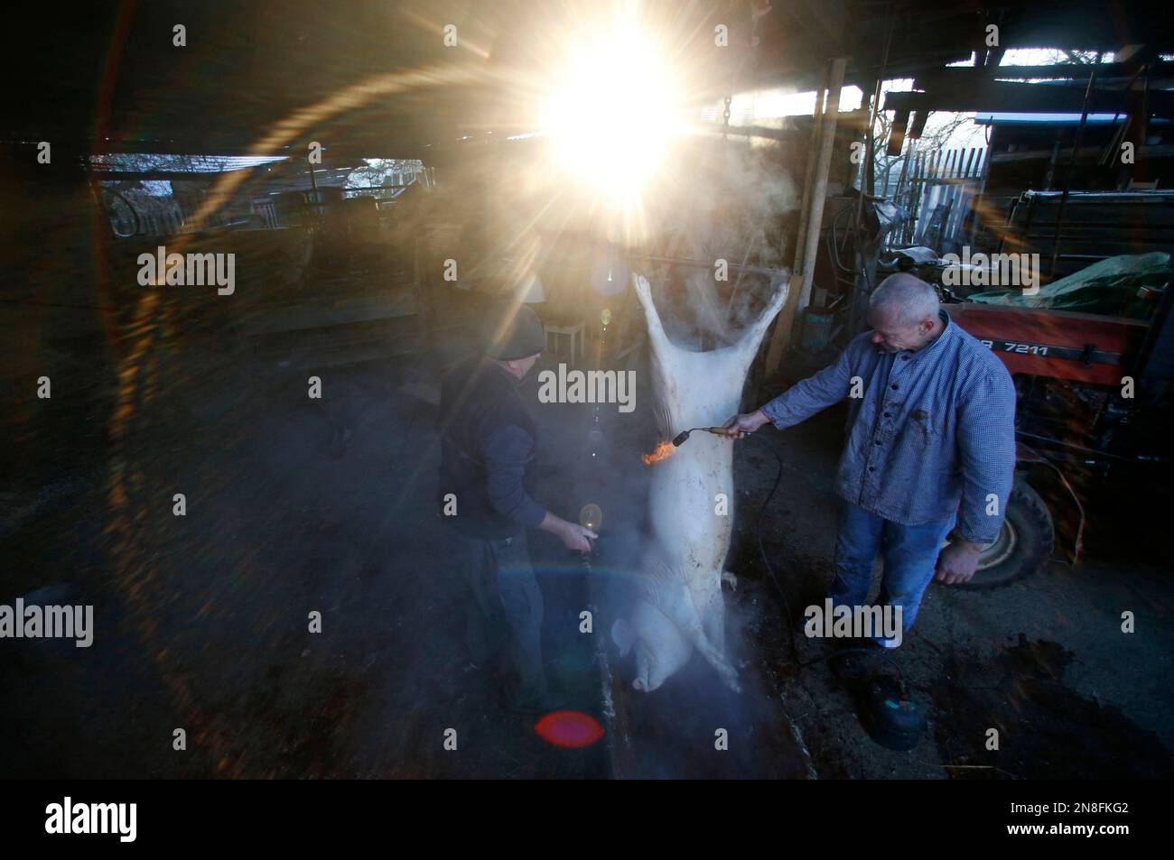 A butcher burns skin off a pig during a traditional hog-killing in the ...