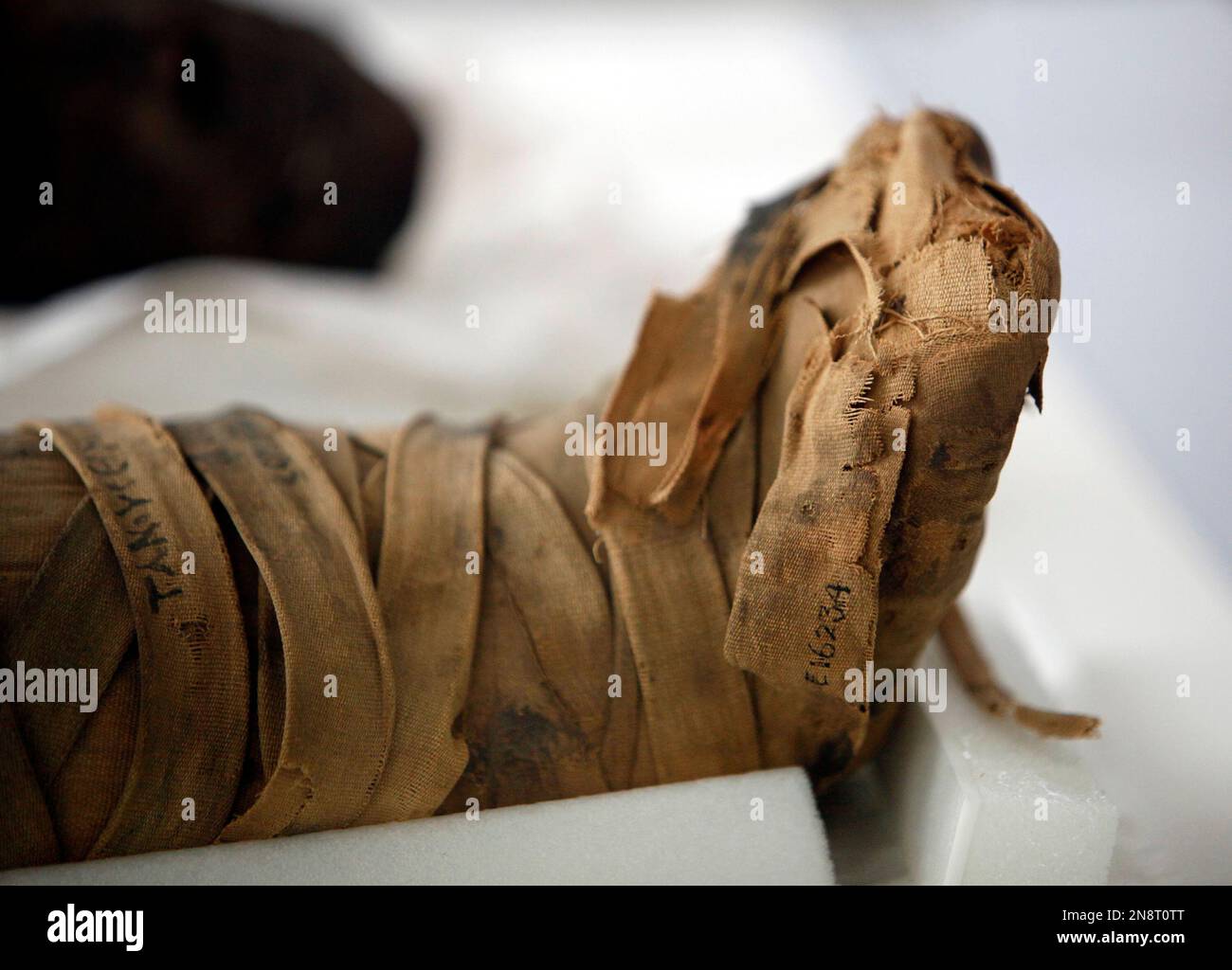This photo taken Friday, Oct. 19, 2012 shows the wrapped feet of a ...