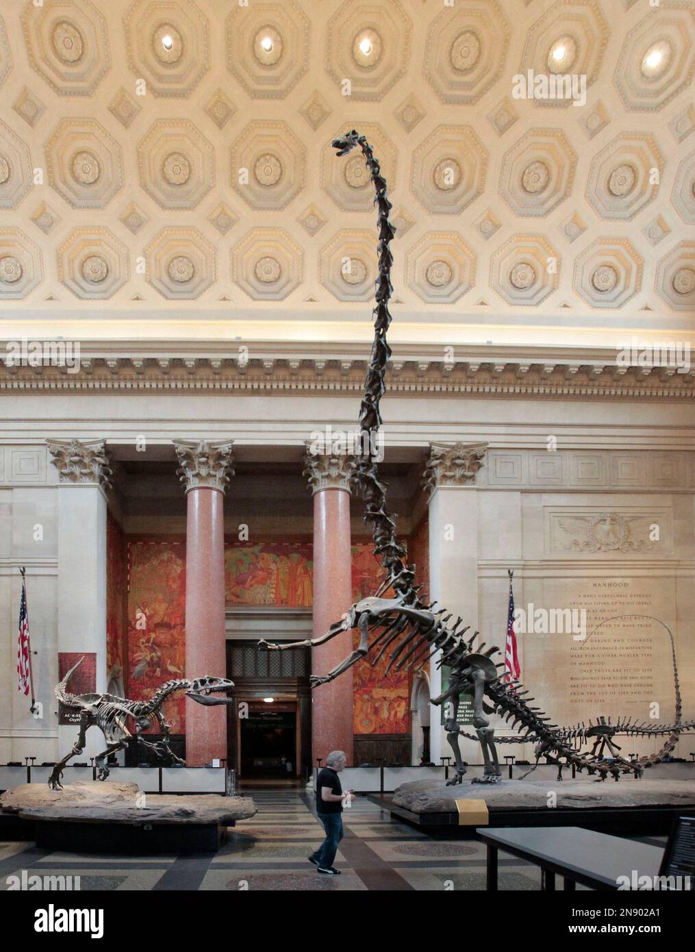 In this Thursday, Sept. 27, 2012 photo, a dinosaur mount and restored ...