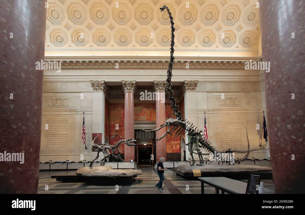 In this Thursday, Sept. 27, 2012 photo, a dinosaur mount and restored ...