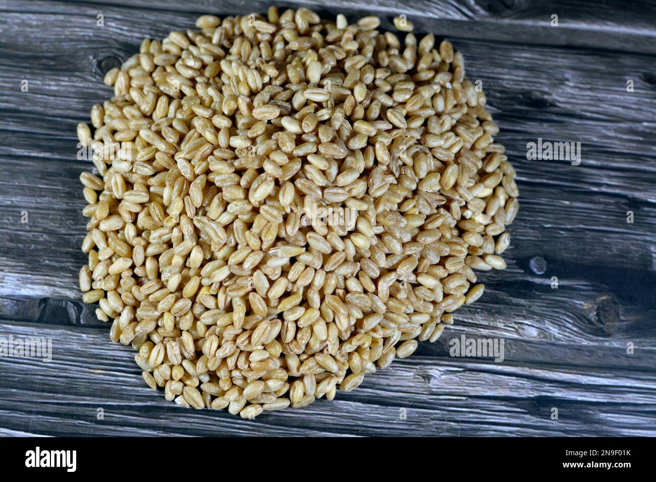 Weizenkörner und -Samen, Gras, das für seine Samen weit verbreitet ist ...