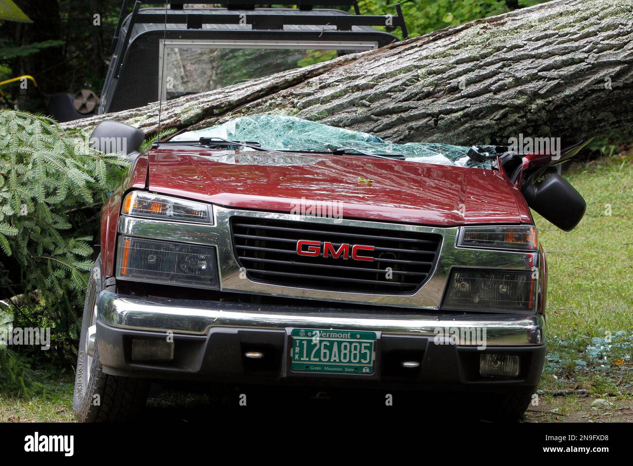 A truck sits crushed by a fallen tree near Joe's Pond on Thursday, July ...