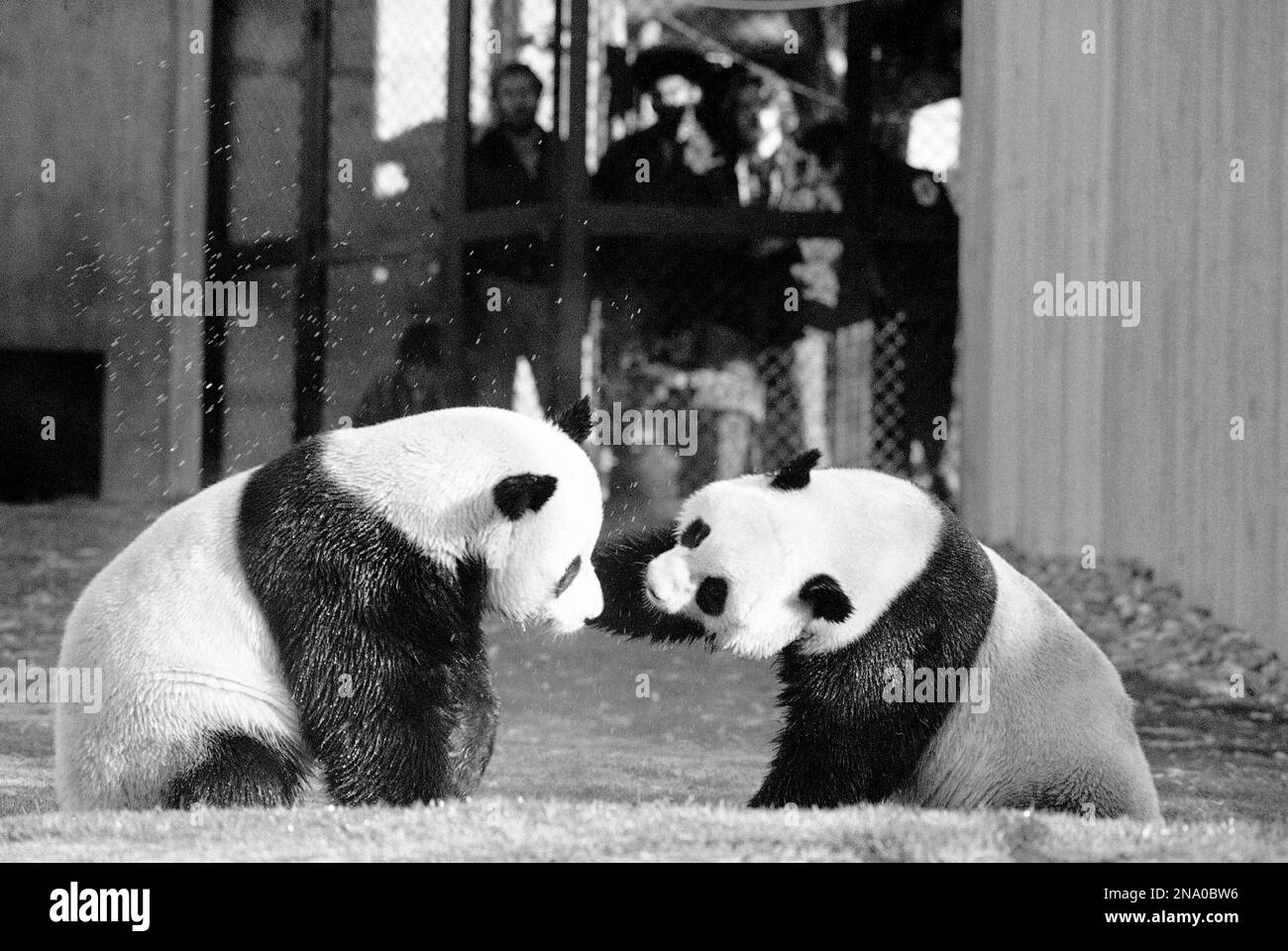 FILE - In this April 20, 1974 black-and-white file photo, The National ...