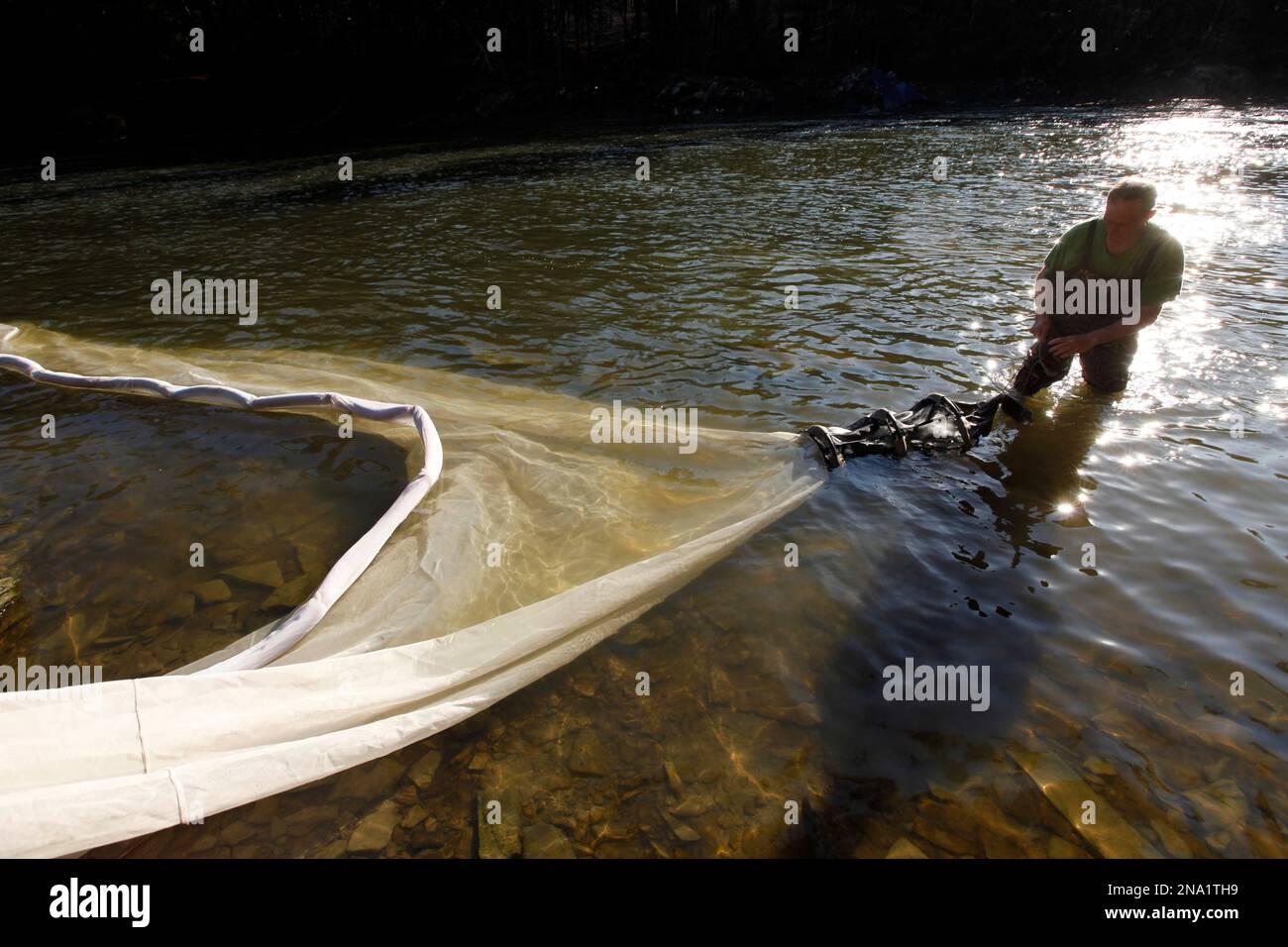In this photo made Thursday, March 23, 2012, Bruce Steeves sets up a ...