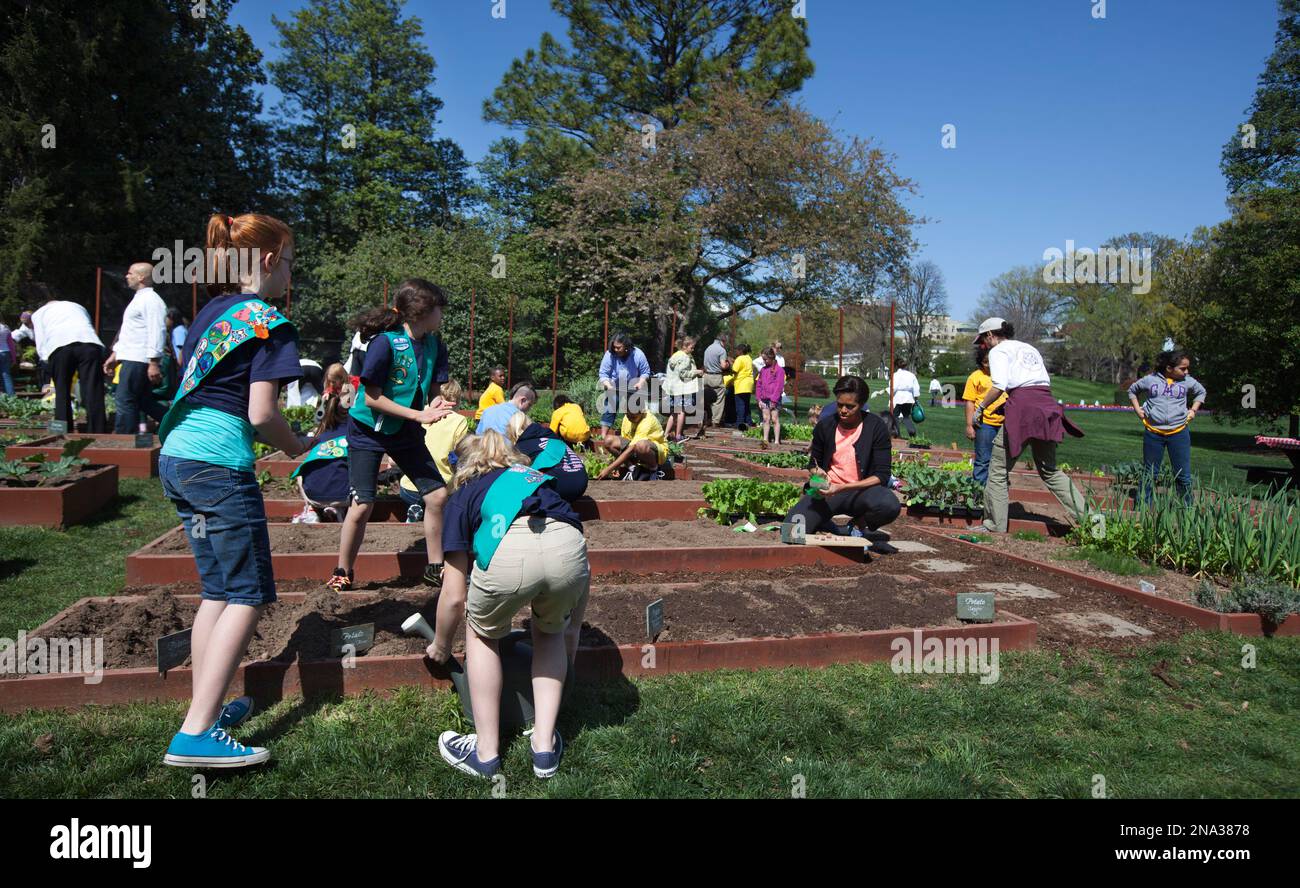 First lady Michelle Obama, third from right, plants mustard seedlings ...
