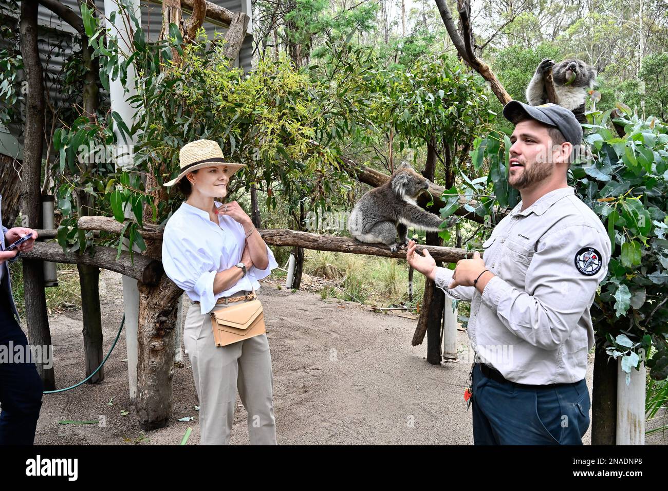 Kronprinzessin Victoria und Prinz Daniel begannen ihren offiziellen ...