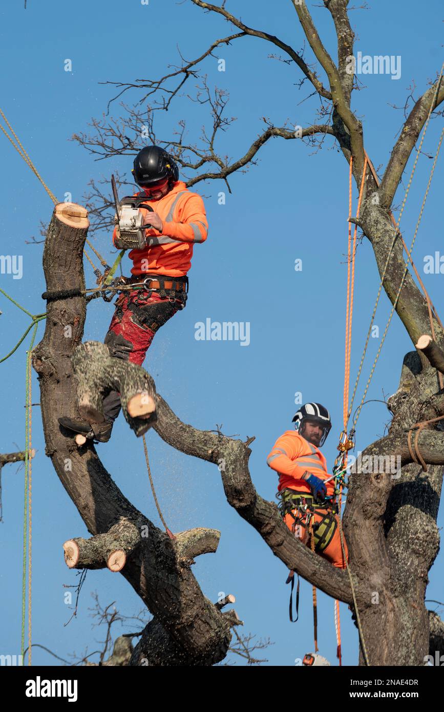 Ashingdon Road, Rochford, Southend on Sea, Essex, Großbritannien. 13 ...