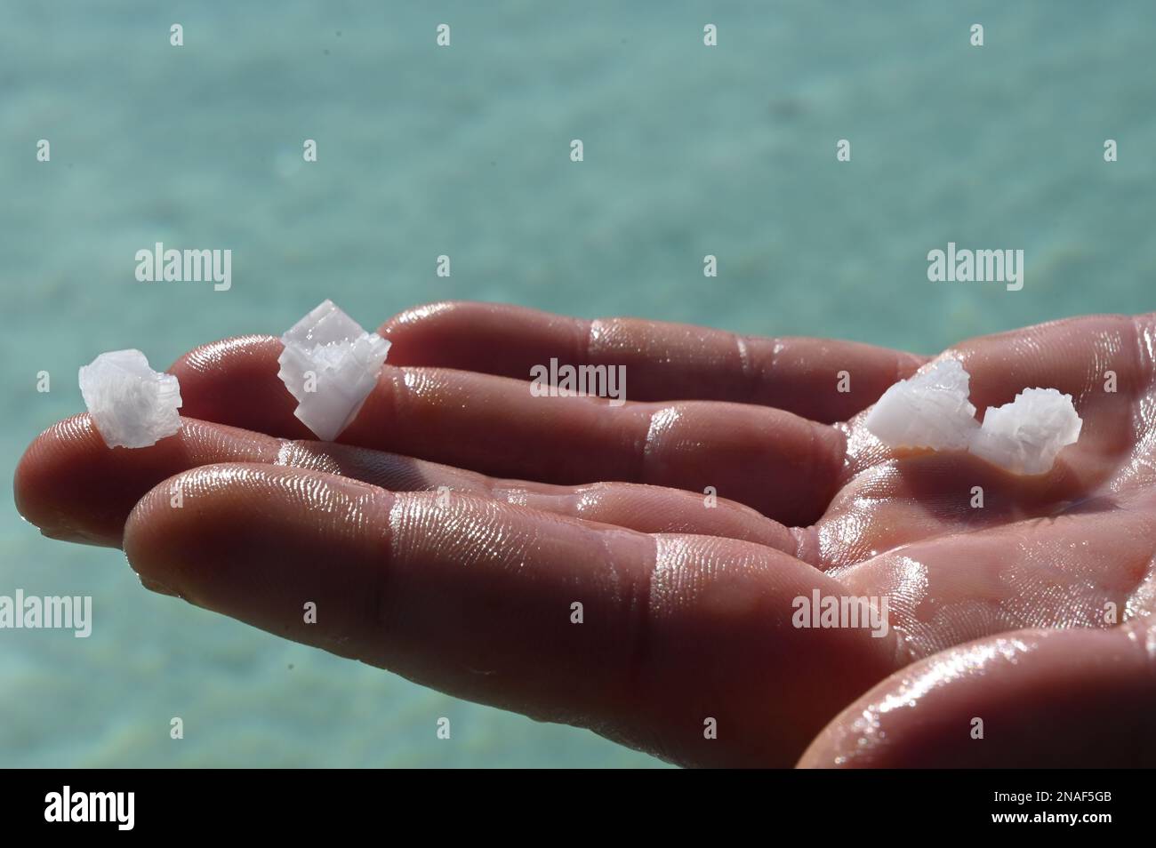 Einzelne einheit salz -Fotos und -Bildmaterial in hoher Auflösung – Alamy