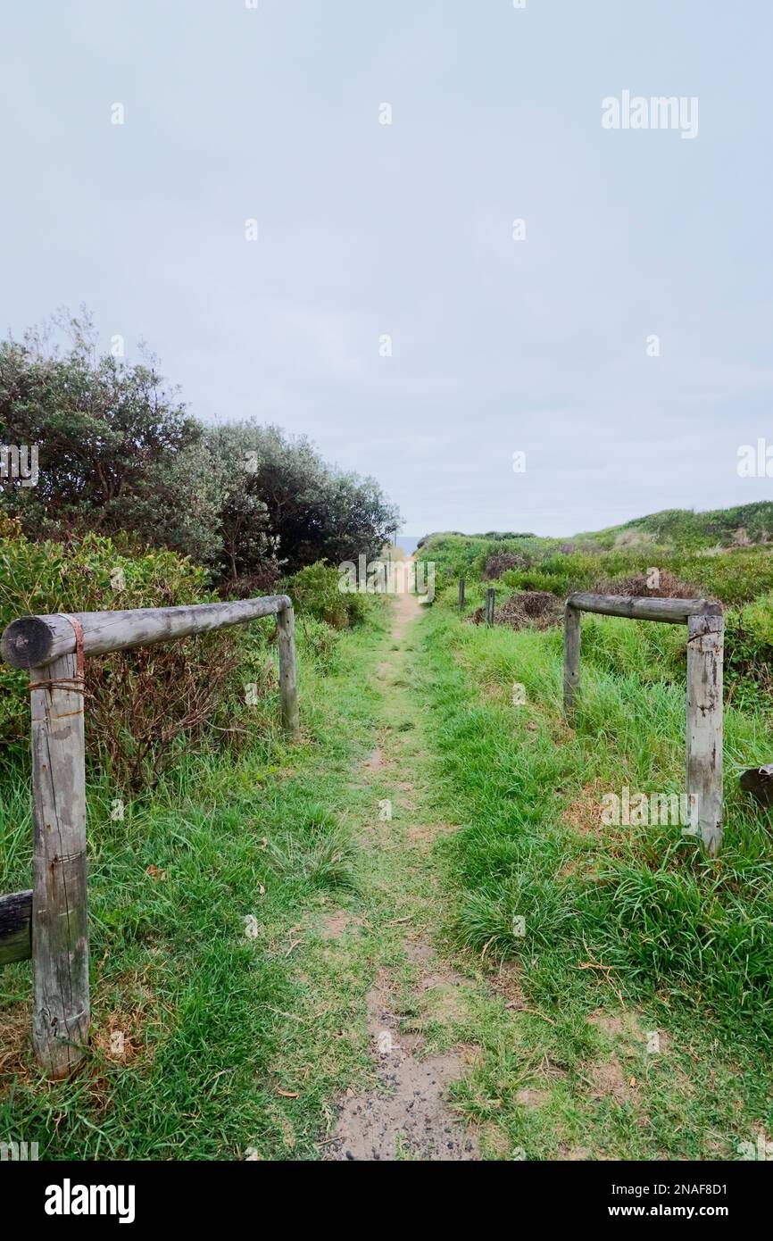 Grassy track -Fotos und -Bildmaterial in hoher Auflösung – Alamy