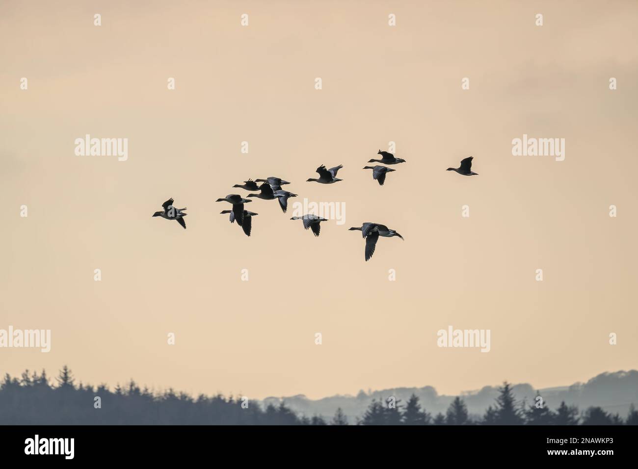 Orchardton bay -Fotos und -Bildmaterial in hoher Auflösung – Alamy