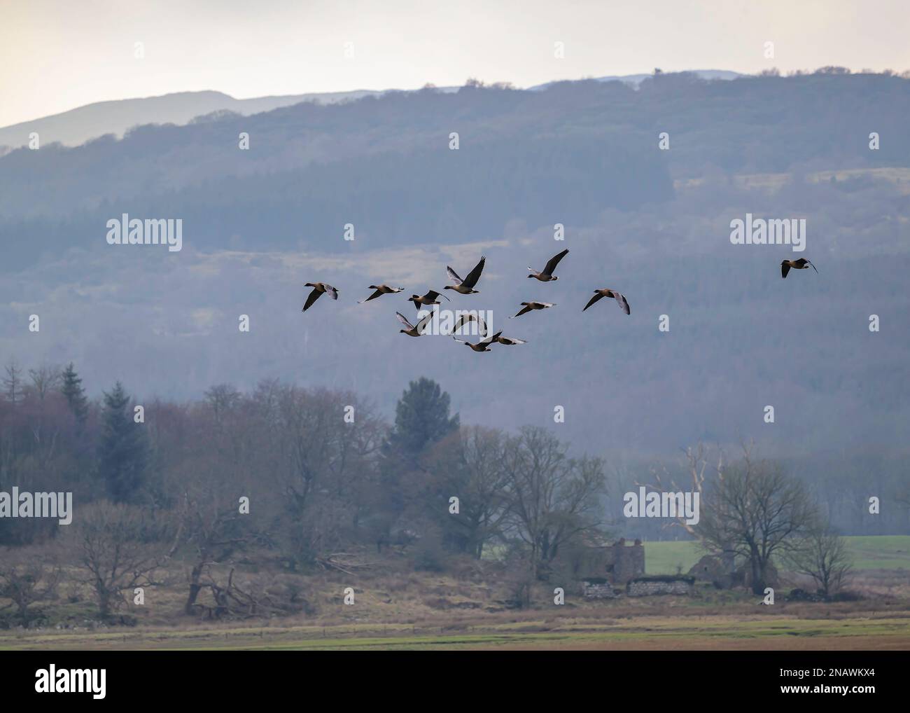 Orchardton bay -Fotos und -Bildmaterial in hoher Auflösung – Alamy