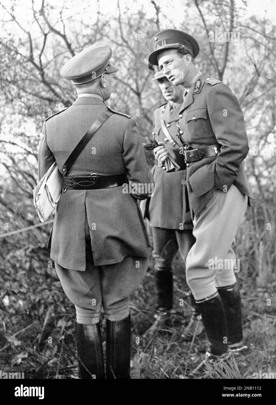 King Leopold of the Belgians, right, talking with General Denis, War ...