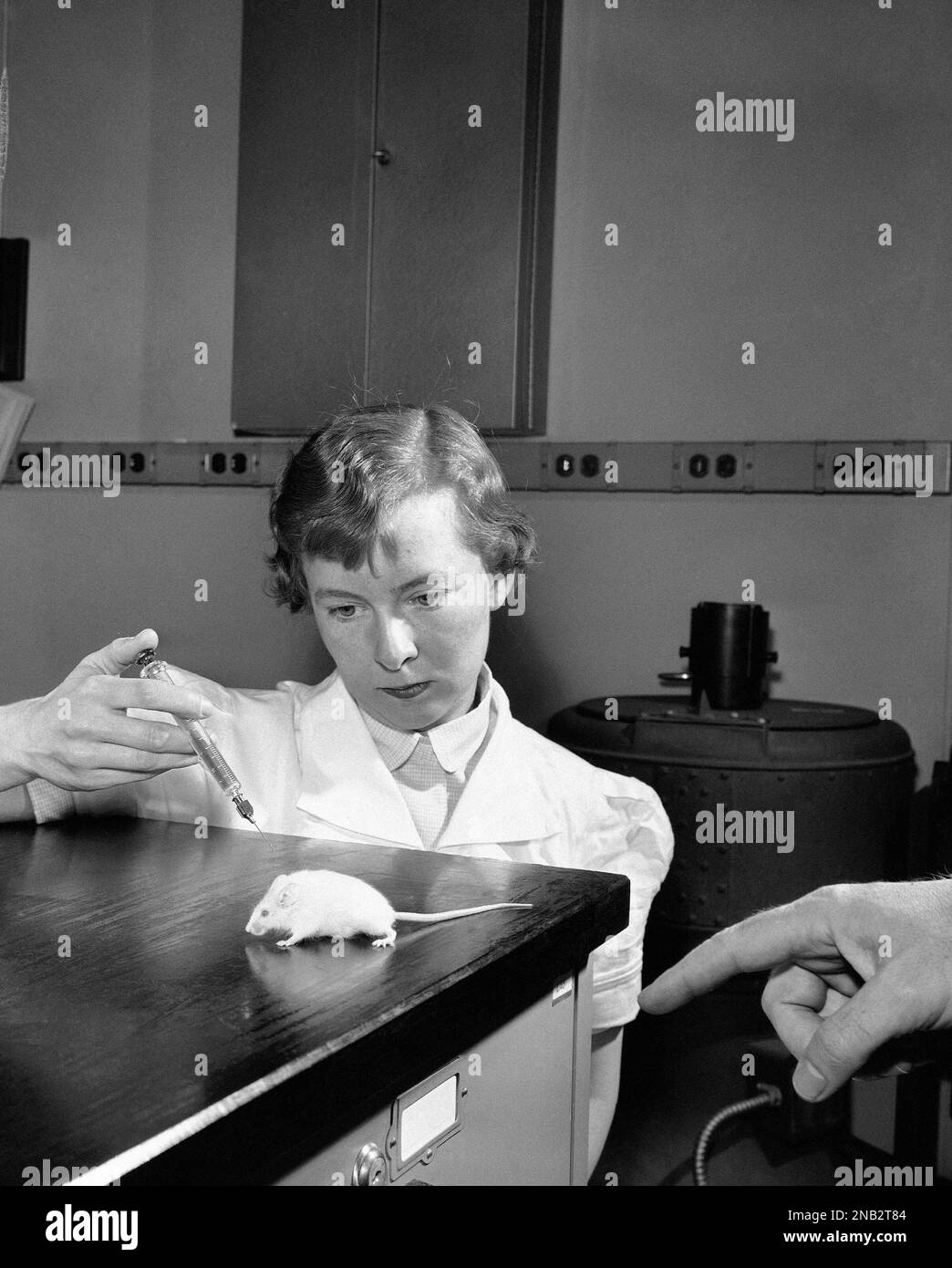 Lois A. Woodruff, assistant scientist in Biochemistry, Division of ...