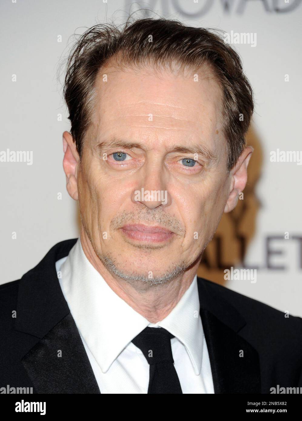 Actor Steve Buscemi attends the New York City Ballet's gala opening ...