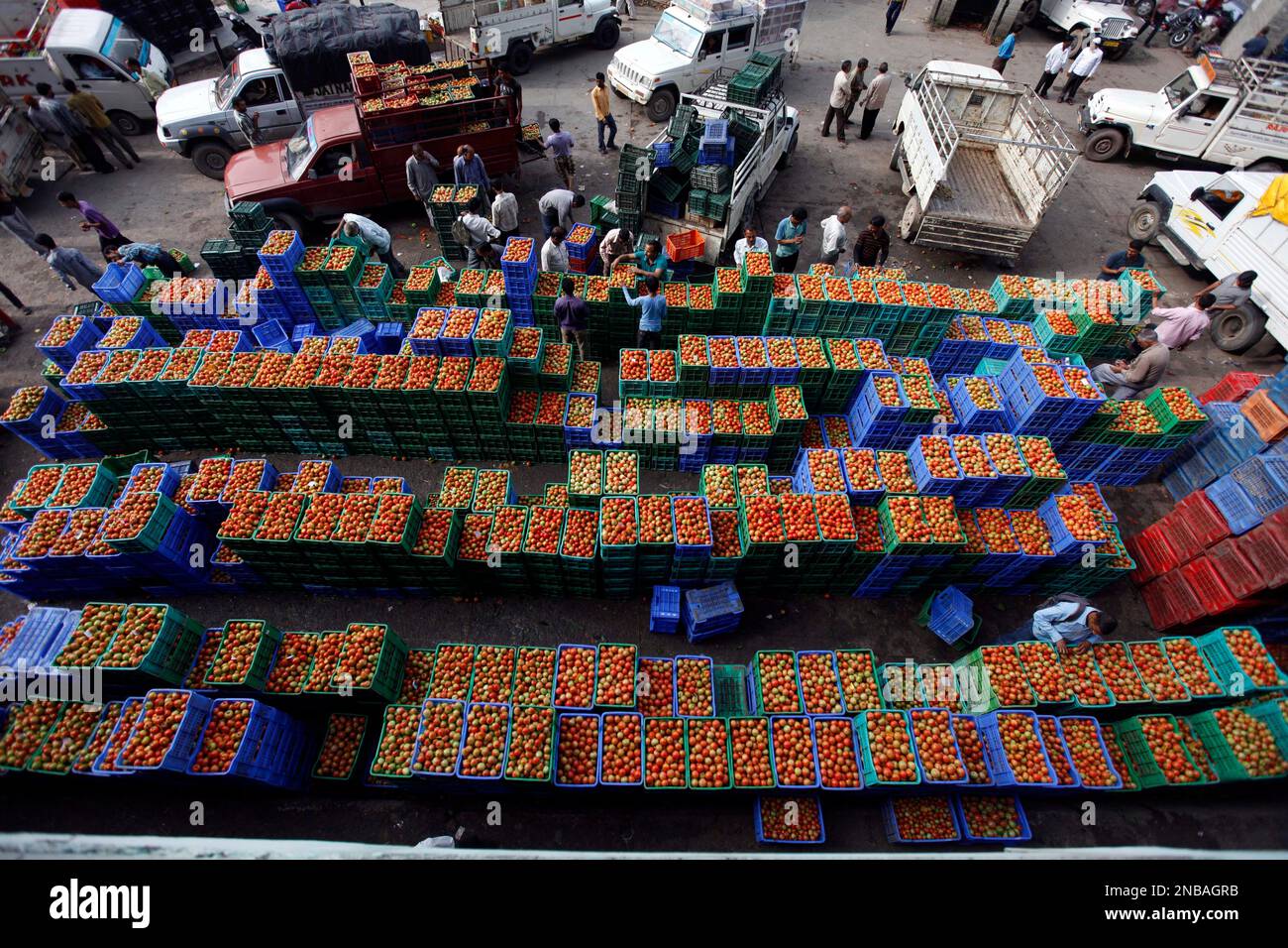 In this July 31, 2011 photograph, tomatoes are brought by farmers to a ...