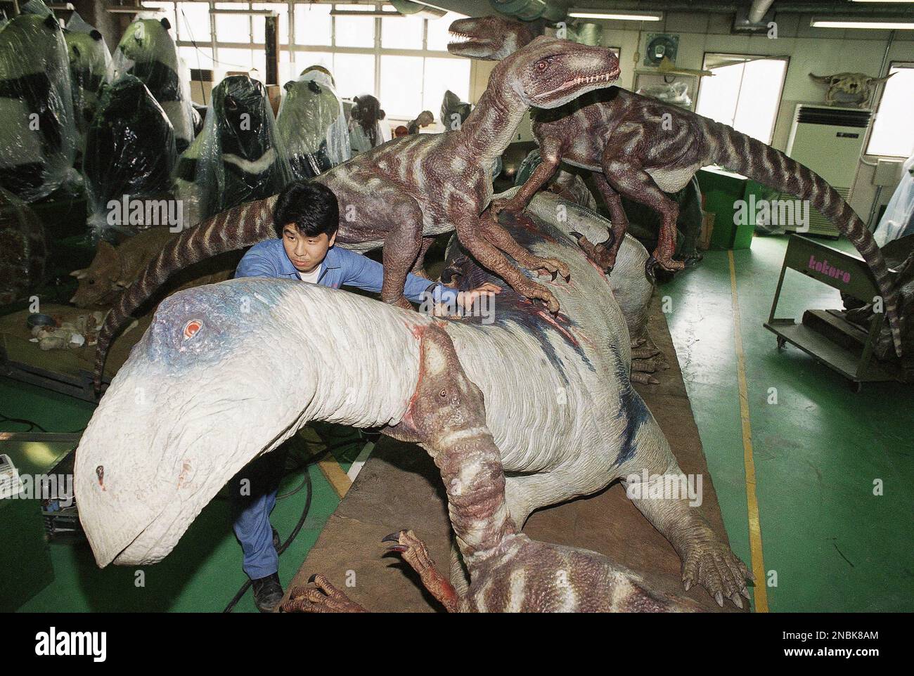 Masaru Watanabe examines models of dying Deinonychus attacking ...