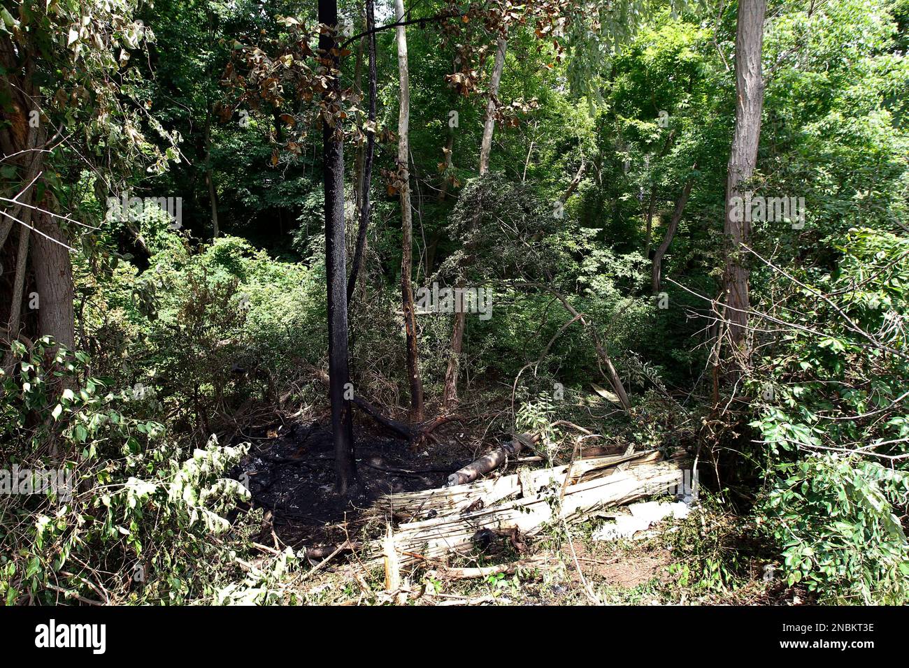Shown is the scene of an auto accident Monday, June 20, 2011, in West ...