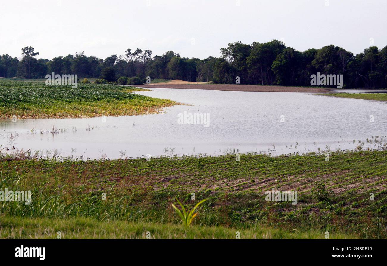 Although away from the levee, water gathers in this field near Fitler ...