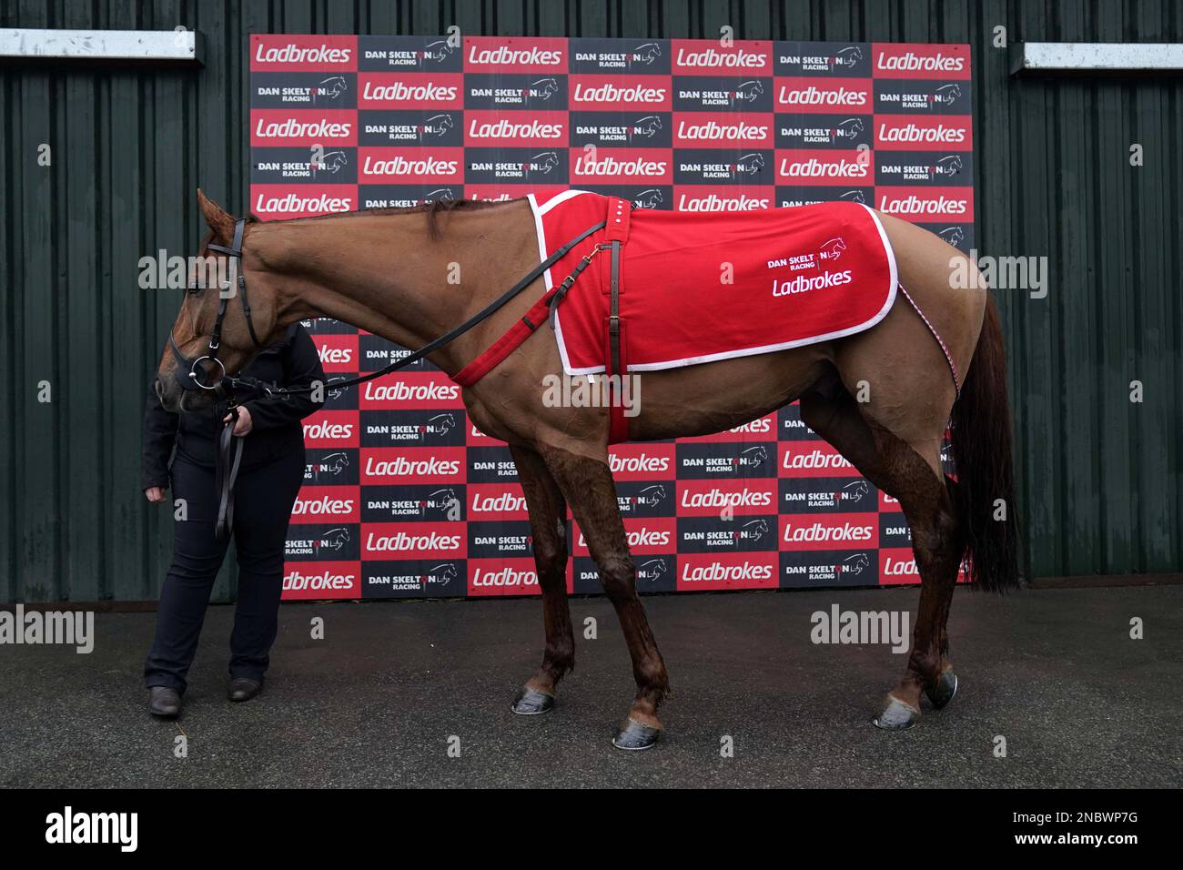 Midnight River bei einem Besuch der Stallungen von Dan Skelton in Lodge ...