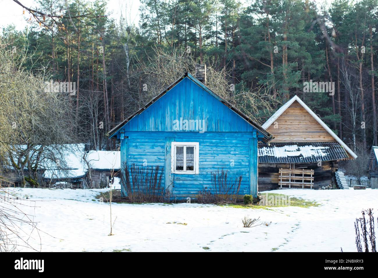 Schönes altes traditionelles blaues Holzhaus im Dorf Margionys, Dzūkija ...
