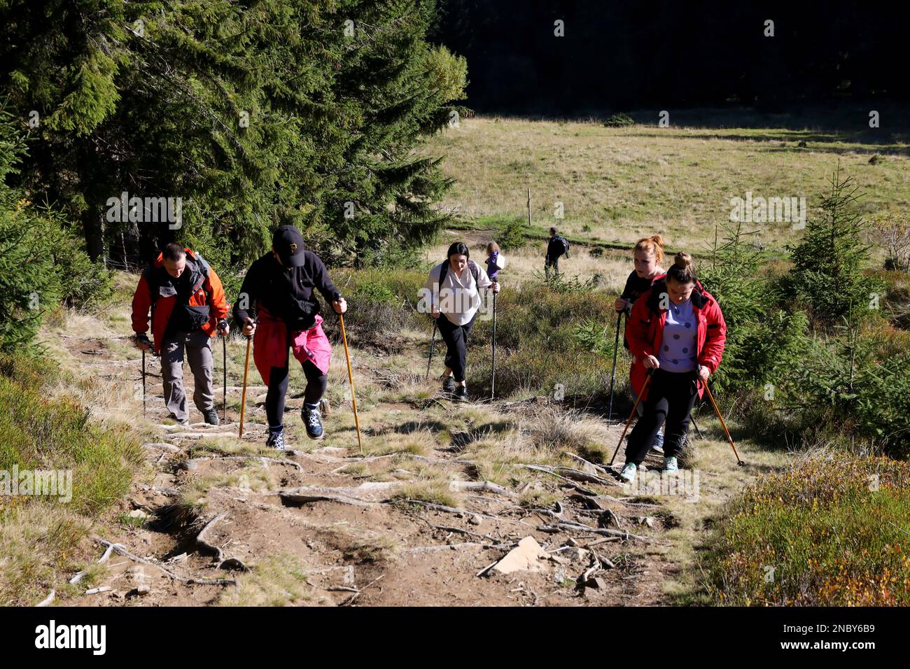 KARPATEN, UKRAINE - 8. OKTOBER 2022 Mount Hoverla. Karpaten in der ...