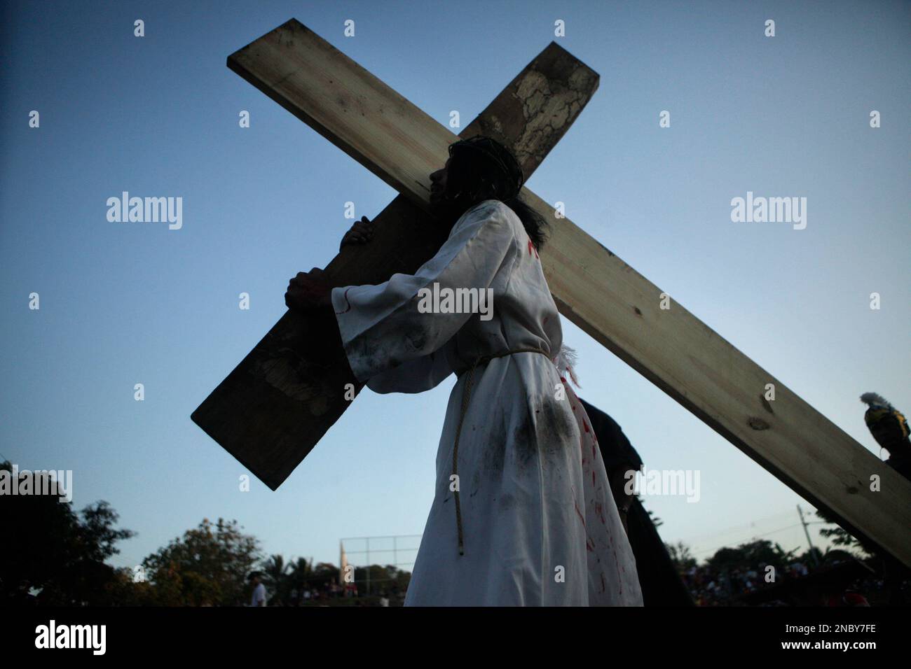 Carrying a cross, an actor performs during the staging of the Passion ...