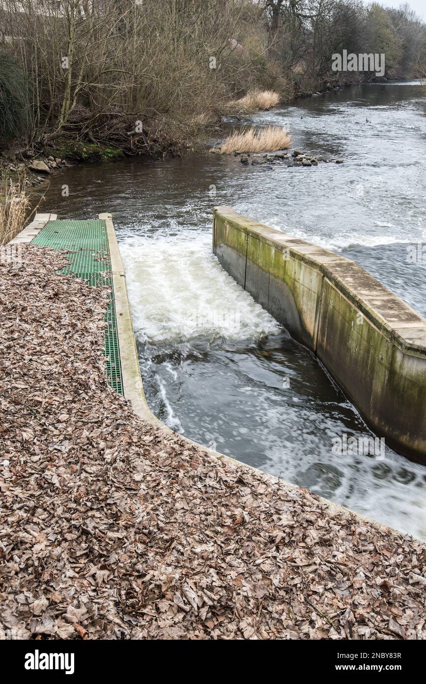 Larinier fischpass -Fotos und -Bildmaterial in hoher Auflösung – Alamy