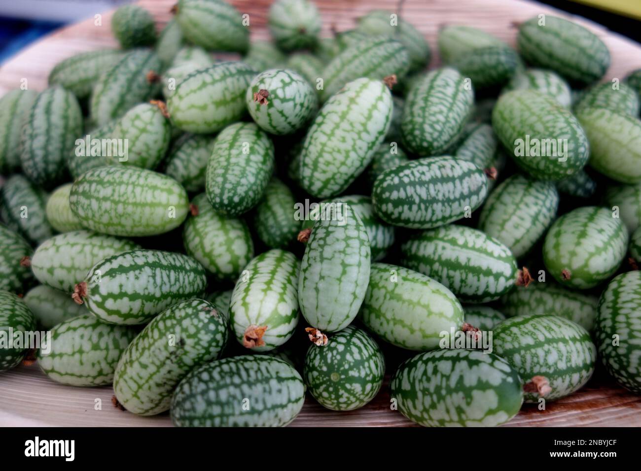 Eine Schale kleiner Cucamelons „Melothria scabra“ (Wassermelonen der ...