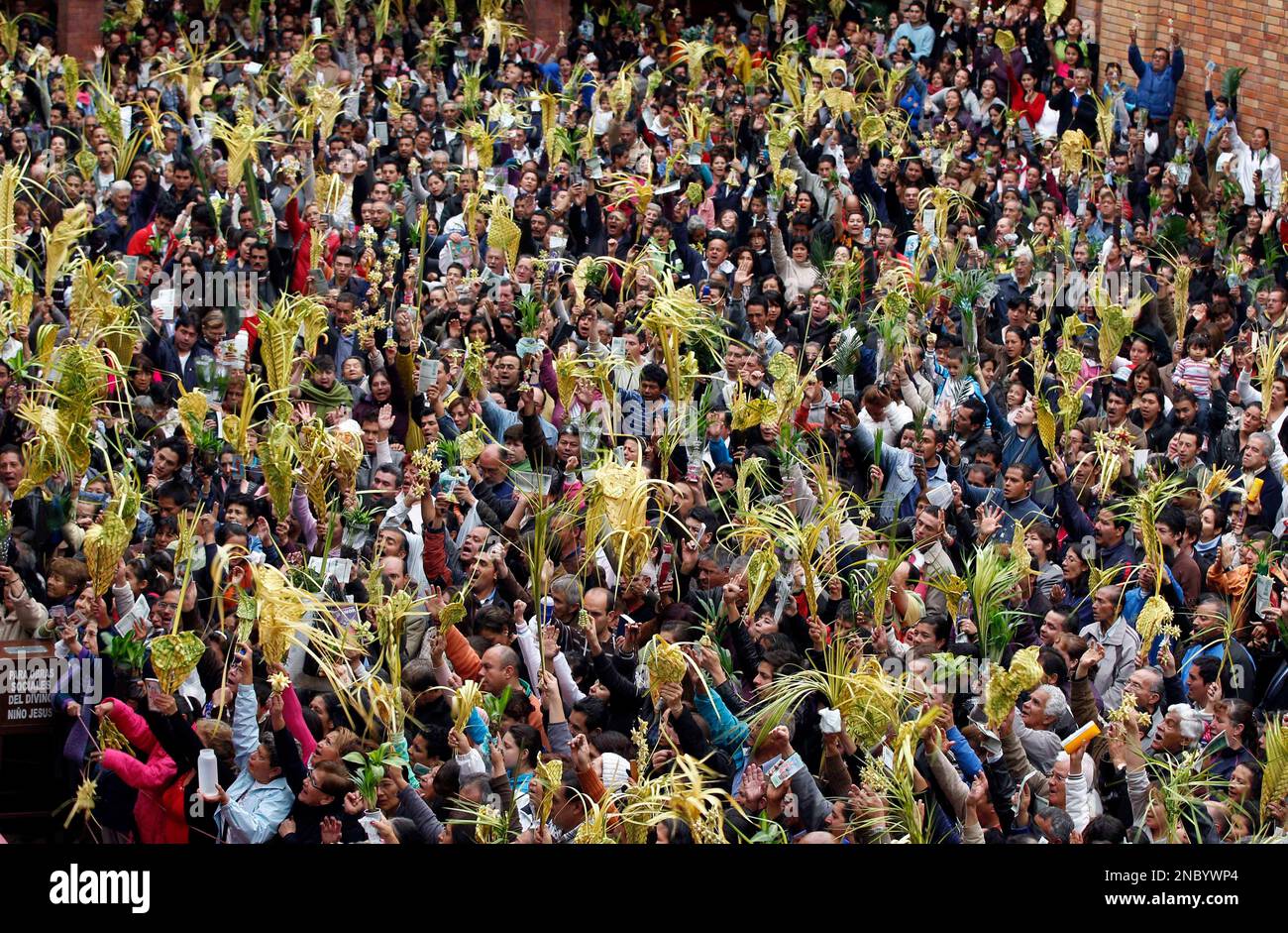 The faithful hold their palm fronds during a Palm Sunday Mass at El ...