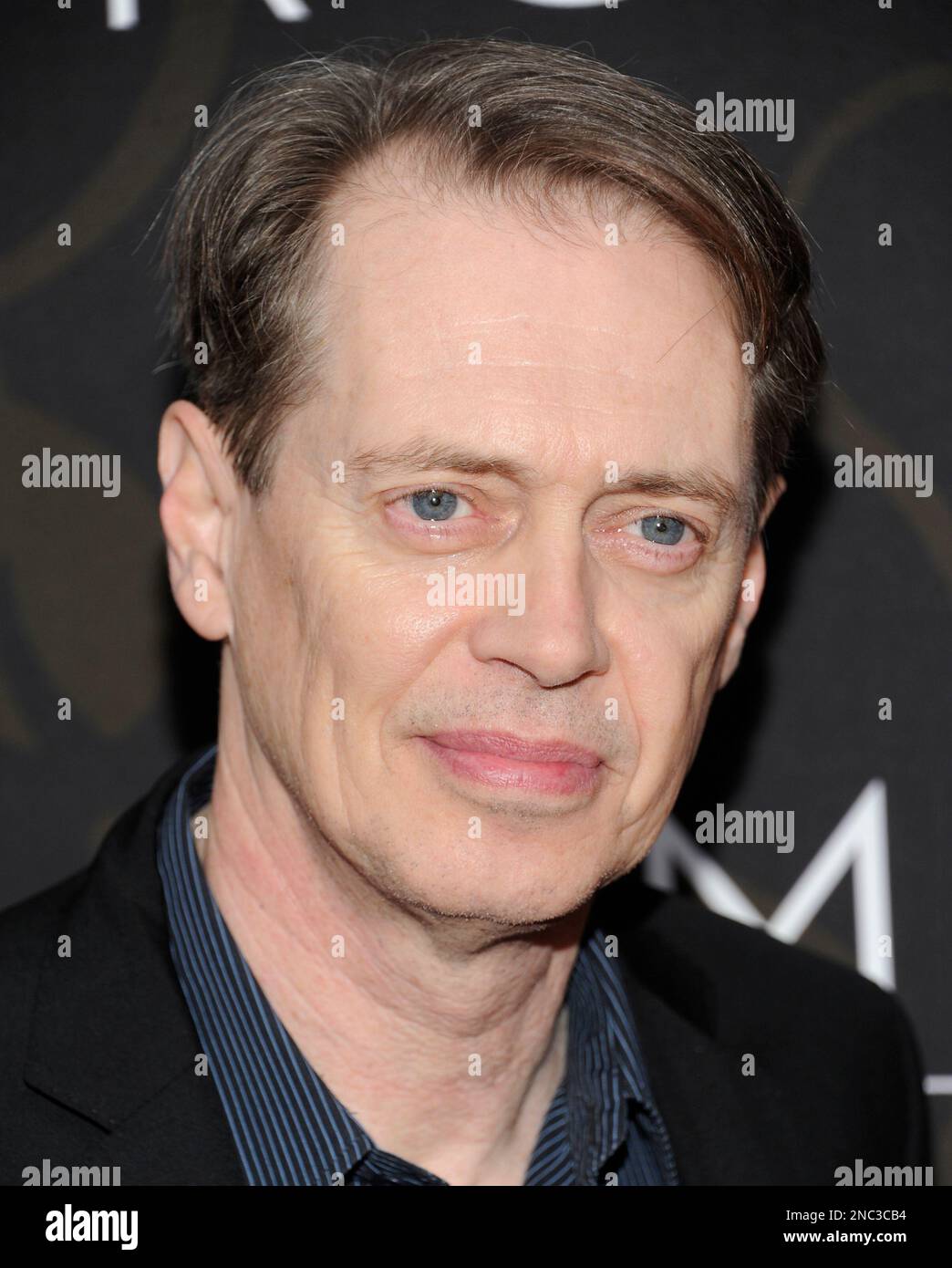 Actor Steve Buscemi attends the premiere of HBO's 'Mildred Pierce' at ...