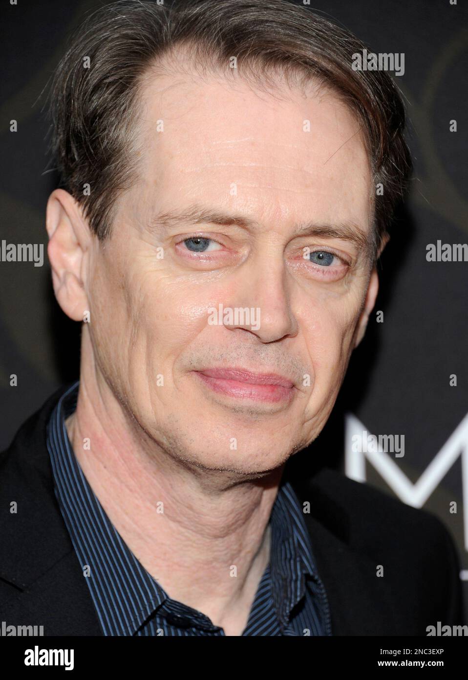 Actor Steve Buscemi attends the premiere of HBO's 'Mildred Pierce' at ...
