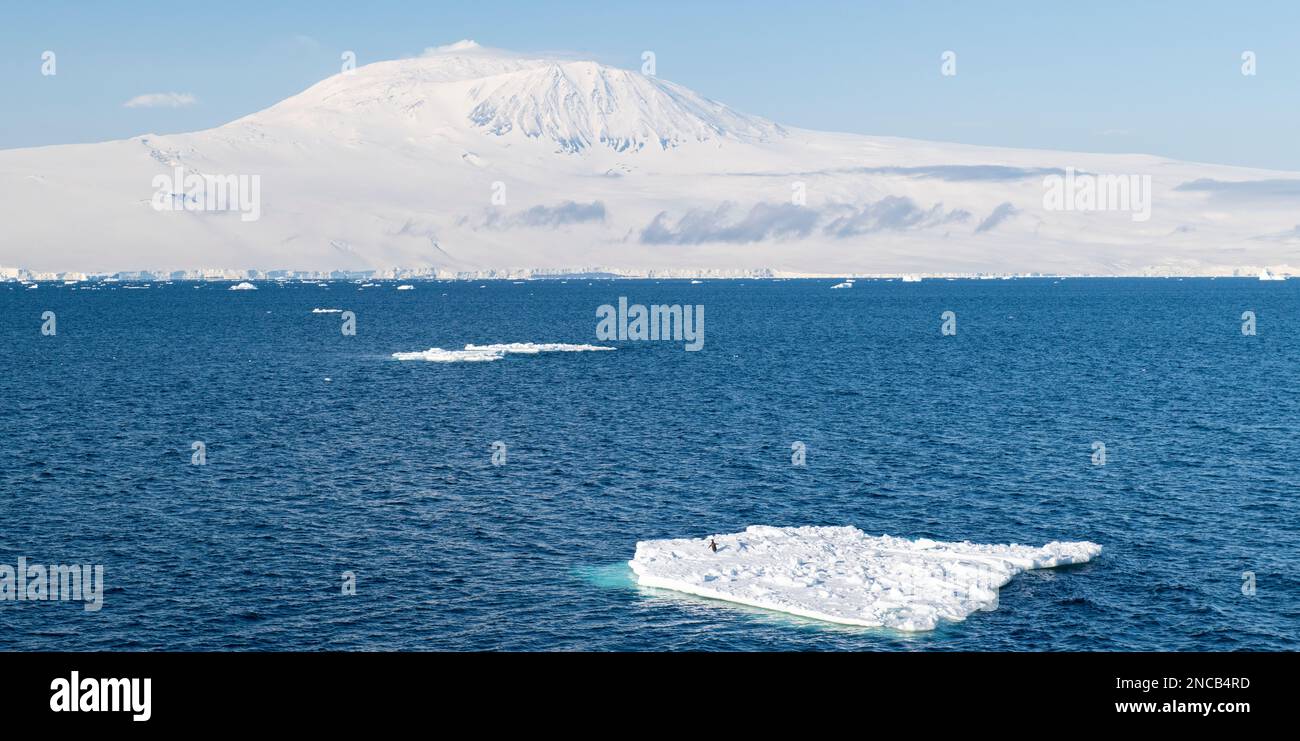 Antarktis, Ross-Insel. Ross Sea Blick auf Mount Erebus, zweithöchster ...
