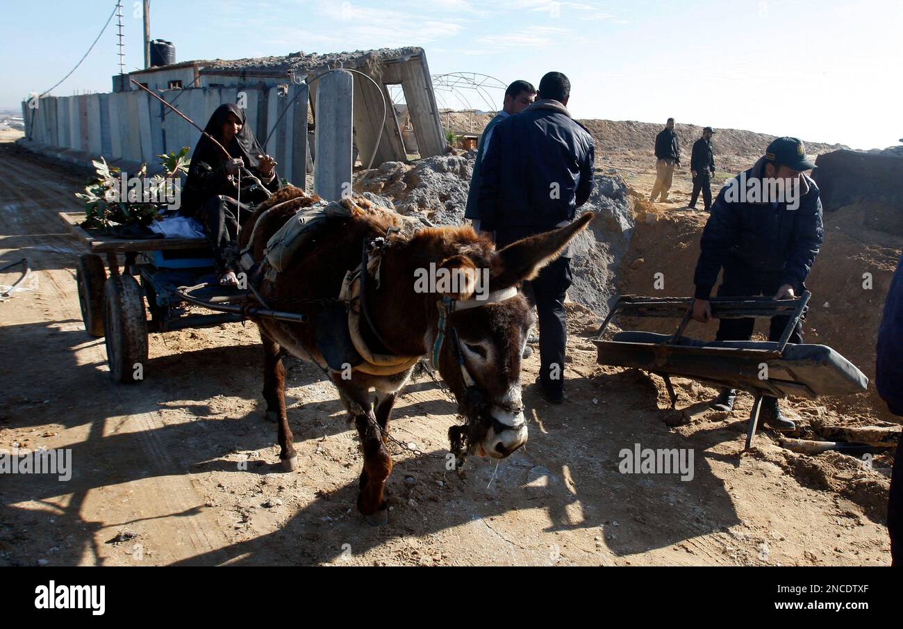 A Palestinian woman rides a donkey-drawn cart as Palestinian Hamas ...